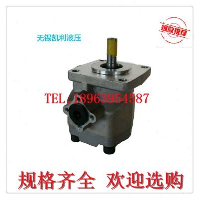 HGP-1A-F6 齿轮泵2A 3A-F1R F2R F3R F4R F5R F8R F9R F11R F12R