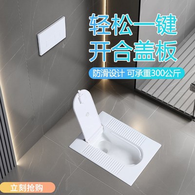 带盖板蹲便器一体翻盖式卫生间蹲厕厕所加盖蹲坑便池隐形家用水箱