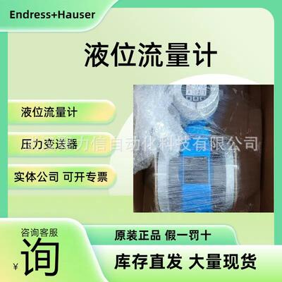 E+H 一体化音叉限位开关 FTM20-4G25A FTM20-AK22A FTM20-NK25A