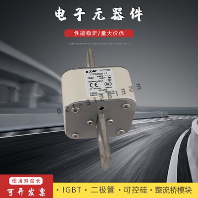 熔断器170M6616 6617 6618 6619 6620 6621 6629 6643 6644 6645