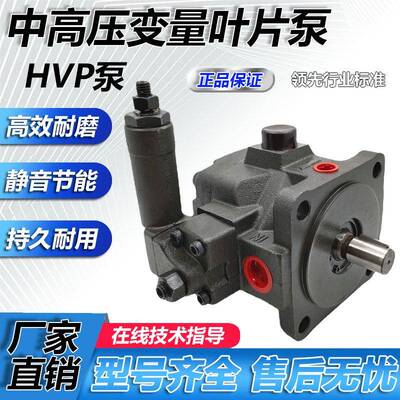 液压系统中高压变量叶片泵HVP-30-FA3液压站可配HVP油泵量大从优