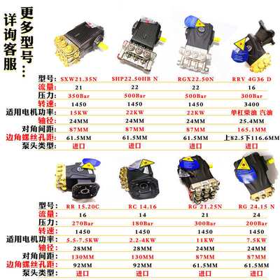 意大利进口超高压AR清洗机泵头总成刷车工业水泵RGX22.50N500公斤