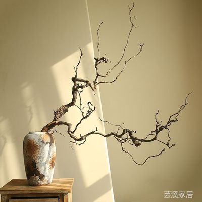 新款干枯龙枣树枝条天然干枝禅意枯枝插花装饰客创意枯木枝干摆件