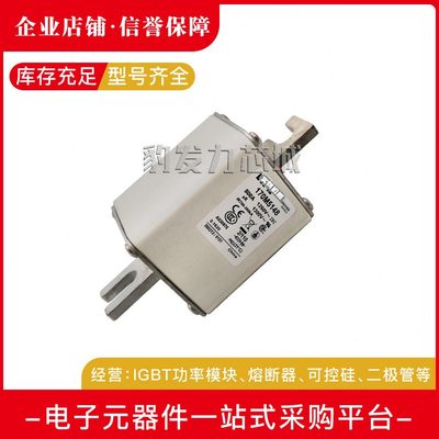 170M5408 170M5409 170M5410 170M5411 170M5412 170M5413熔断器