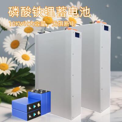 51.2V10KWH壁挂式储能磷酸铁锂家用太阳能风光互补离网储能电池