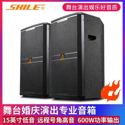 狮乐（SHILE）BX-505专业舞台10英寸音响会议婚庆音箱大功率140W