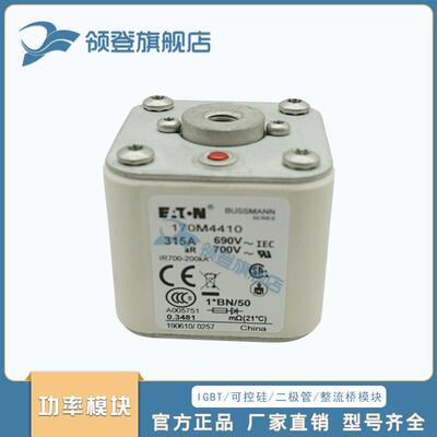 快速熔断器保险丝170M4462 4463 4464 4465 4466 4467 4468 4469