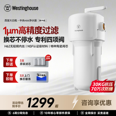 西屋全净水器家用自来水过滤器
