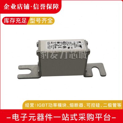 170M1408/1409/1410/1411/1412/1413/1414/1415/1416/17/18熔断器