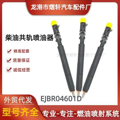 EJBR04601D适用双龙路帝2.7T德尔福喷油器A6650170321雷斯特五缸