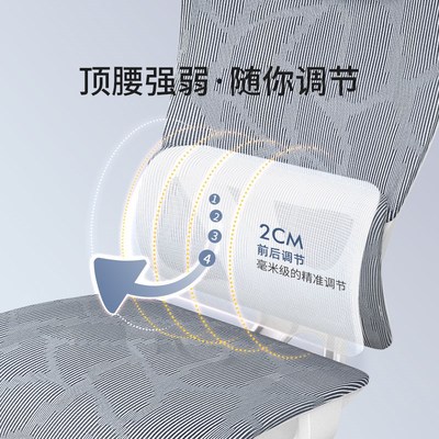 ENOVA时尚家撑腰椅人体工学椅电脑椅家用舒适久坐办公椅学习椅子