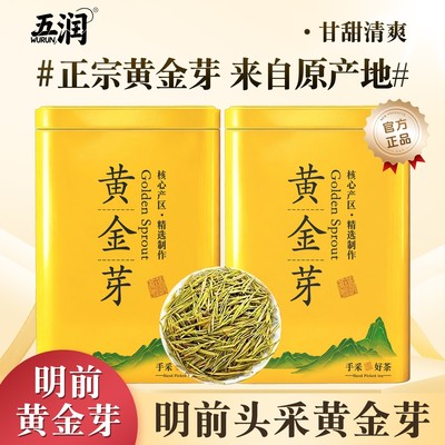 邮政专场2025年新茶黄金芽明前春茶 原产高山罐装支持试喝