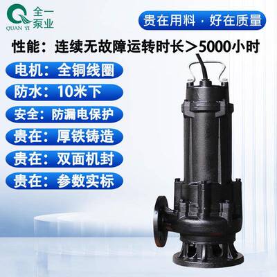 WQG潜水铸铁排污泵 厚铁双机封防漏电潜水泵 电镀漂染废水排污泵