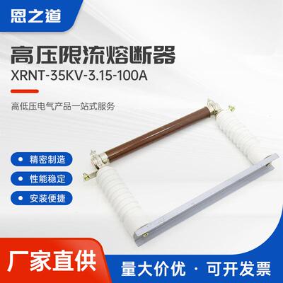 高压限流熔断器xrnt-35kv-3.15-100a保险丝熔芯熔管10KV高分断