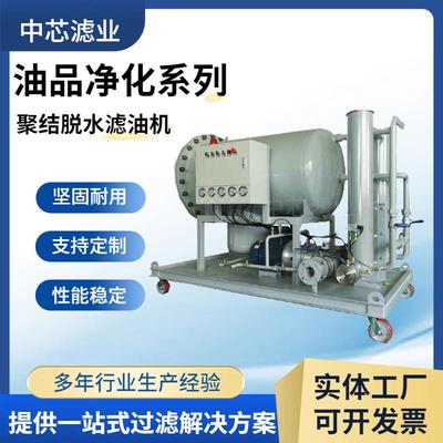 中芯滤业 LYC-100J聚结脱水滤油机 油除杂质滤油车