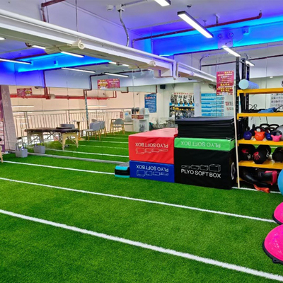 健身房草坪定制跑道刻度表私教室内私教区推雪橇黑色仿真人造草地