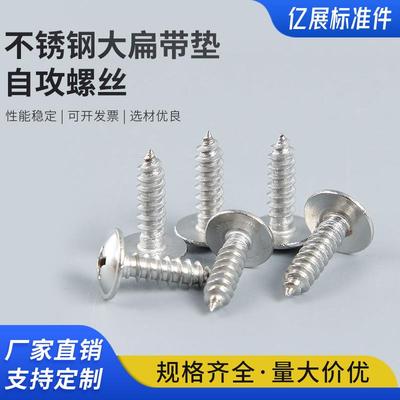 不锈钢大扁带垫自攻螺丝M(2、3、4、5）X6X8X10X20X40X50螺丝