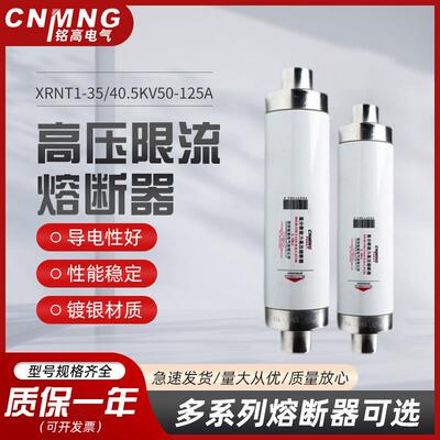 变压器保护用35KV高压限流熔断器XRNT1-35/40.5KV50-125A负荷开关