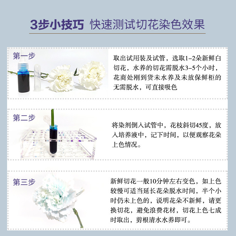 鲜花百养吸染染色剂 满天星康乃馨郁金香 七彩培虹玫瑰彩合液染料