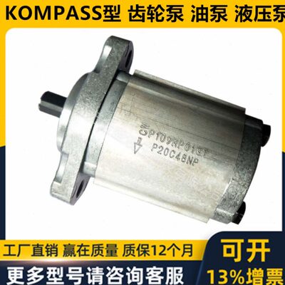 齿轮泵P102 P101 P127 P135 P105 P106 P107 P109 RP01GT RP016M