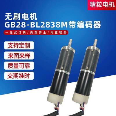无刷电机GB28-BL2838M带编码器慢煮机电推剪智能机器人减速马达