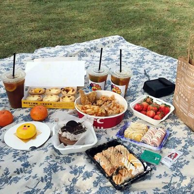 户外露营野餐布拍照道具装备网红法式春游公园田园便郊游白色轻薄
