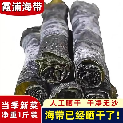 霞浦正宗干海带厚农家自产批发