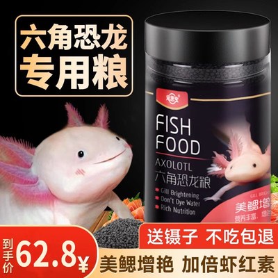 六角恐龙饲料专用鱼食蝾螈小颗粒家用底栖鱼沉底料饵料娃美西螈