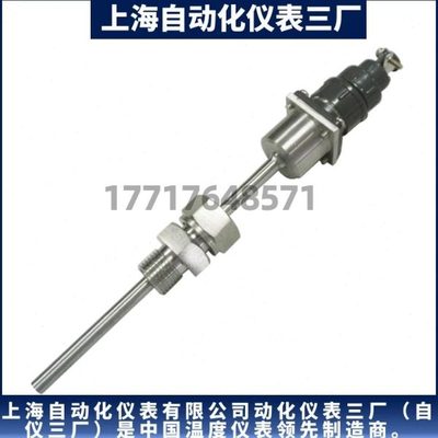 WZP-26S装配式热电阻PT100-200-300℃A级B级lCr18Ni9Ti304测量