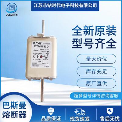 170M4863D 170M4864D 170M4865D 巴斯曼BUSSMANN快速熔断器保险丝