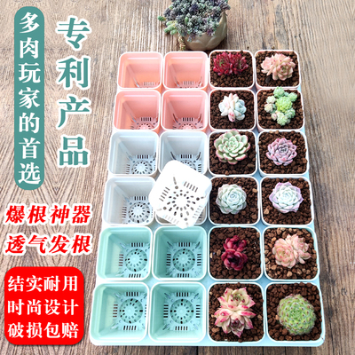 7方套装带托盘多肉专用花盆塑料彩色组合简约耐用爆根控根白方盆