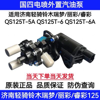 适用轻骑铃木国四瑞梦丽彩QS125T-5A/6燃油泵汽油泵PDP泵组合电喷