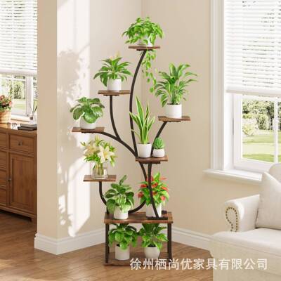 室花架多层铁艺内TY001跨镜新品带生长灯植架室内装物饰花子阳架