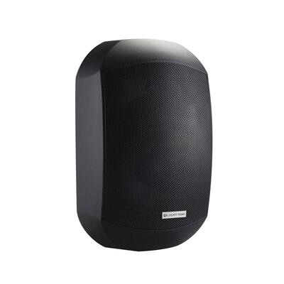WTP-660B户外防水壁挂扬声器6寸黑色