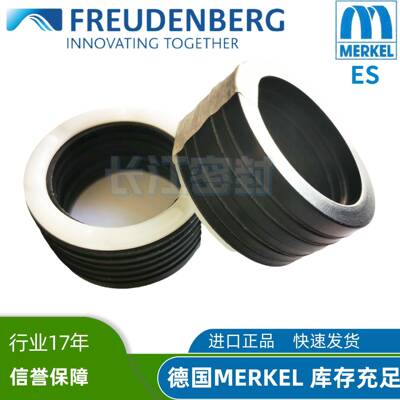 德国merkelFREUDENBERG密封件DM-1170ES140200-225夹布组合