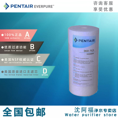 滨特尔大胖10寸20寸PP棉RFC DFX GAC过滤桶活性炭滤芯大蓝瓶通用