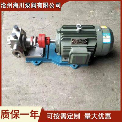 齿轮泵LQB保温泵不锈钢保温泵齿轮泵厂家供应