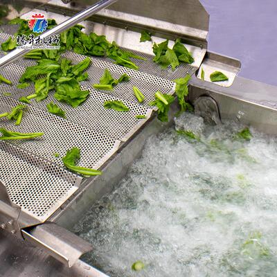 段菜 洗碎菜清洗作业线+ 生姜菠菜土豆条清旋清流气泡双重洁LXU净