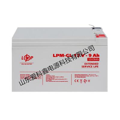 Logicpower蓄电池 LPM-GL12V-9AH 应急电源电池12V9AH