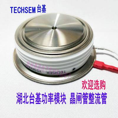 TECHSEM台基Y70KKG0TKK2000A2500V晶闸管可控硅苏州阜晶电子