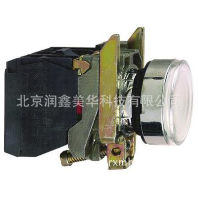供应各系列自动化及控制设备工业用开关按钮XB4BW31B5