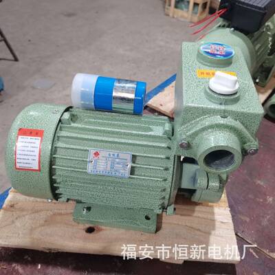 750W小型家用静音自吸泵抽水泵DBZ自吸泵福安自吸泵