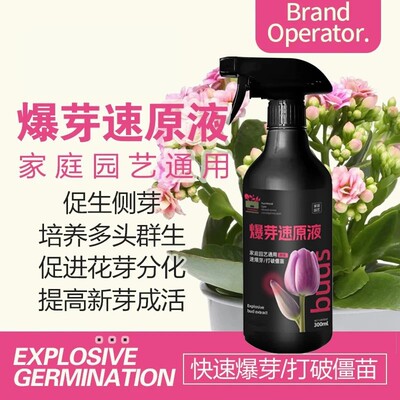 【爆芽速原液】多芽催芽分化叶插花植物花卉绿植三角梅兰花通用zy