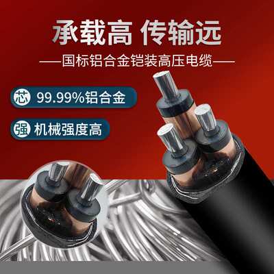 国标铝合金YJLHV22高压铠装3*70 95 120 240 300 平方35KV 电缆线