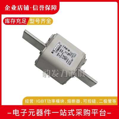 170M5808 170M5809 170M5810 170M5811 170M5812 170M5813熔断器