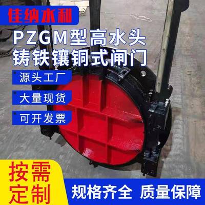 PZGM型高水头铸铁镶铜式闸门单向矩形闸门电动铸铁方闸门附壁式