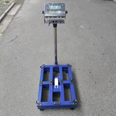 300x400mm防爆电子台秤100kg本安型防爆落地秤化工石油200kg台称