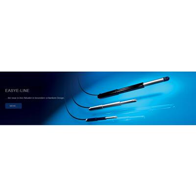 德国Bansbach-easylift液压杆HOLO-62-140-318-002/800N