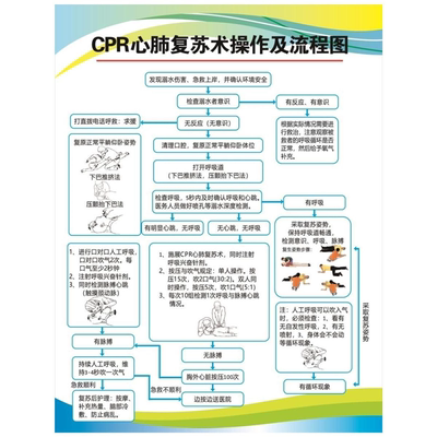 游泳池溺水事故处理流程图海报CPR心肺复苏术操作及流程图墙贴纸