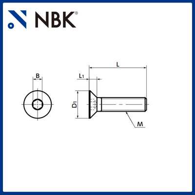 NBK SNFCM 阴极溅镀装置高温炉用纯钼内六角埋头螺栓 紧固件厂家